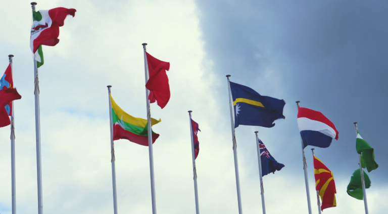 Discovering the 5 Most Bizarre Flags in the World - History and Culture ...